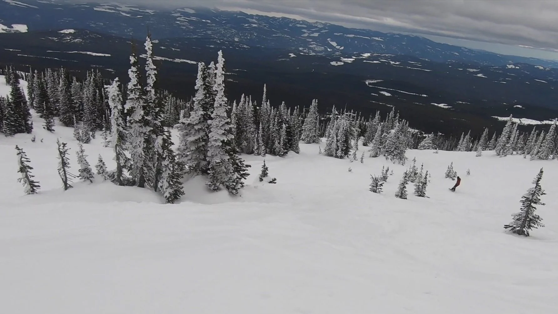 Best Tree Skiing Resorts in North America — PeakRankings
