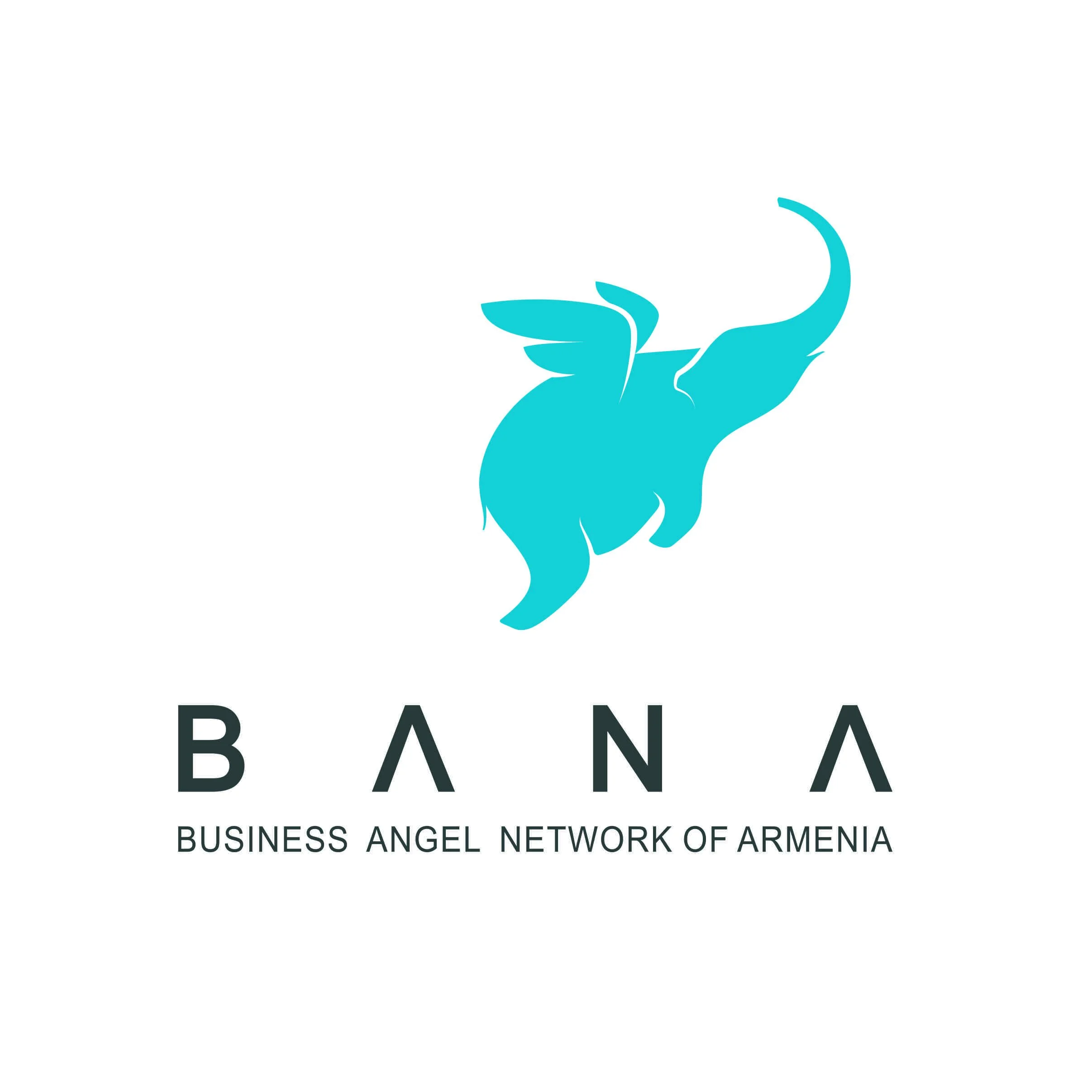 BAJ ACCELERATOR Less Talk. More Deals.