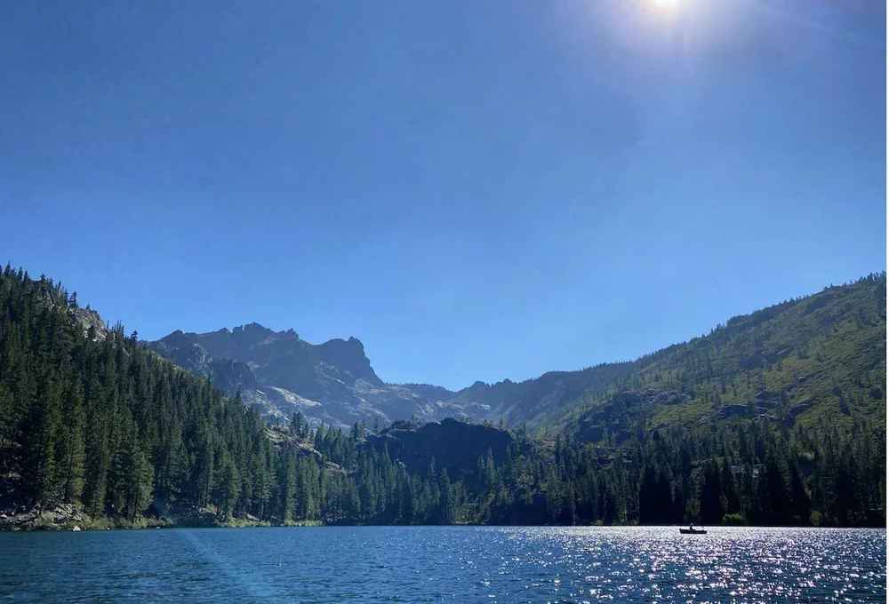 Field Guide — Constellation Creek