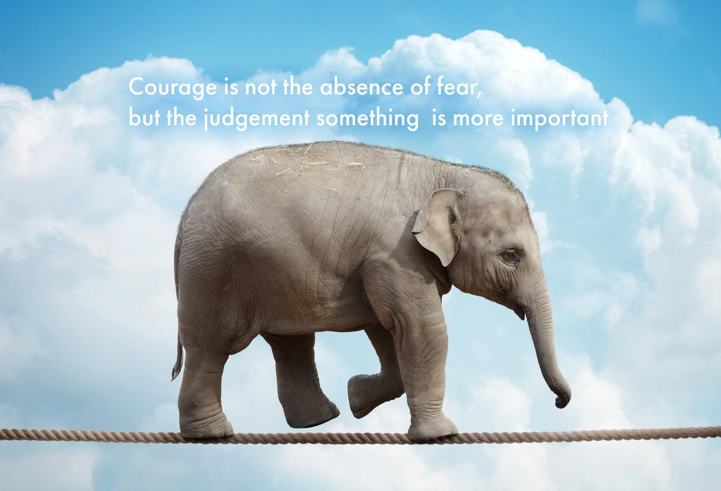 How our fear breeds our success — Moving Forward
