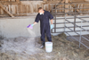 Ascension Ag | ChloraSorb Livestock Hygiene Powder