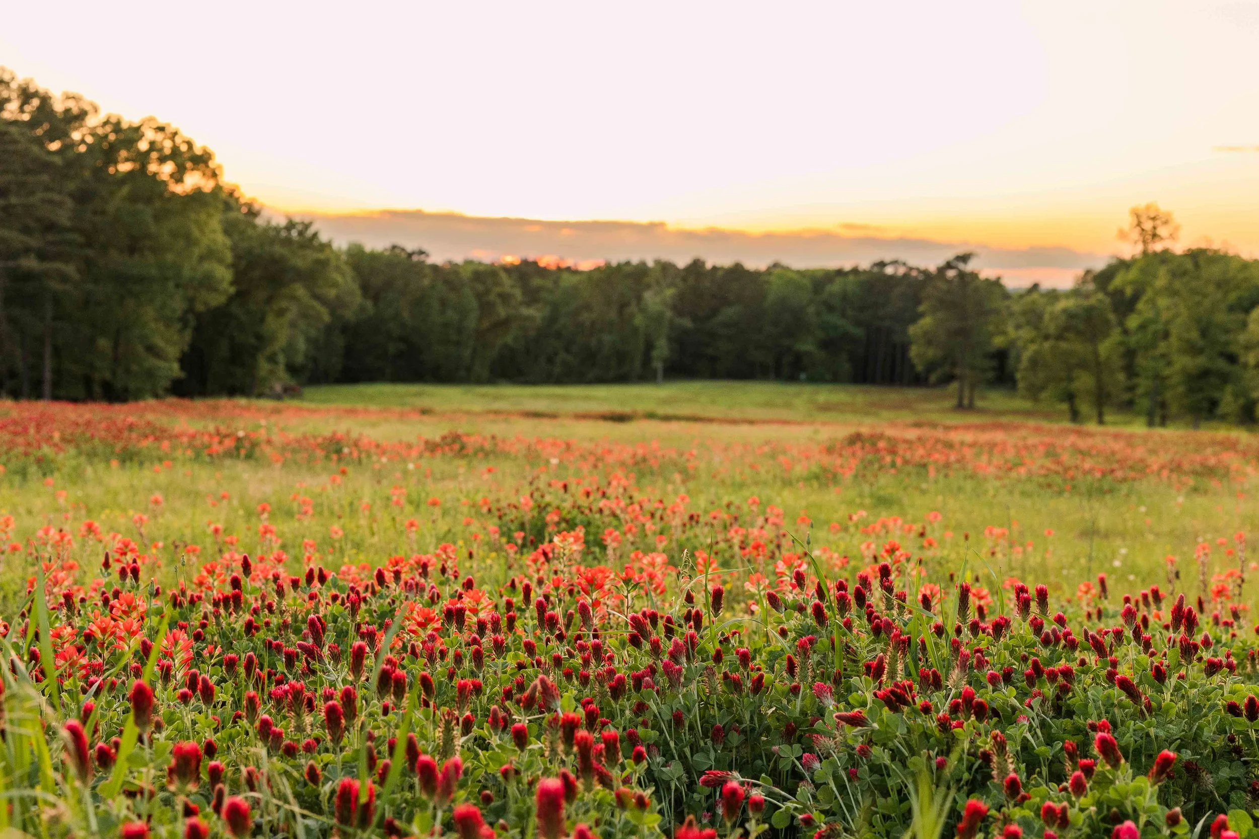 Sunset Oaks Venue | Tyler Texas Wedding Venues