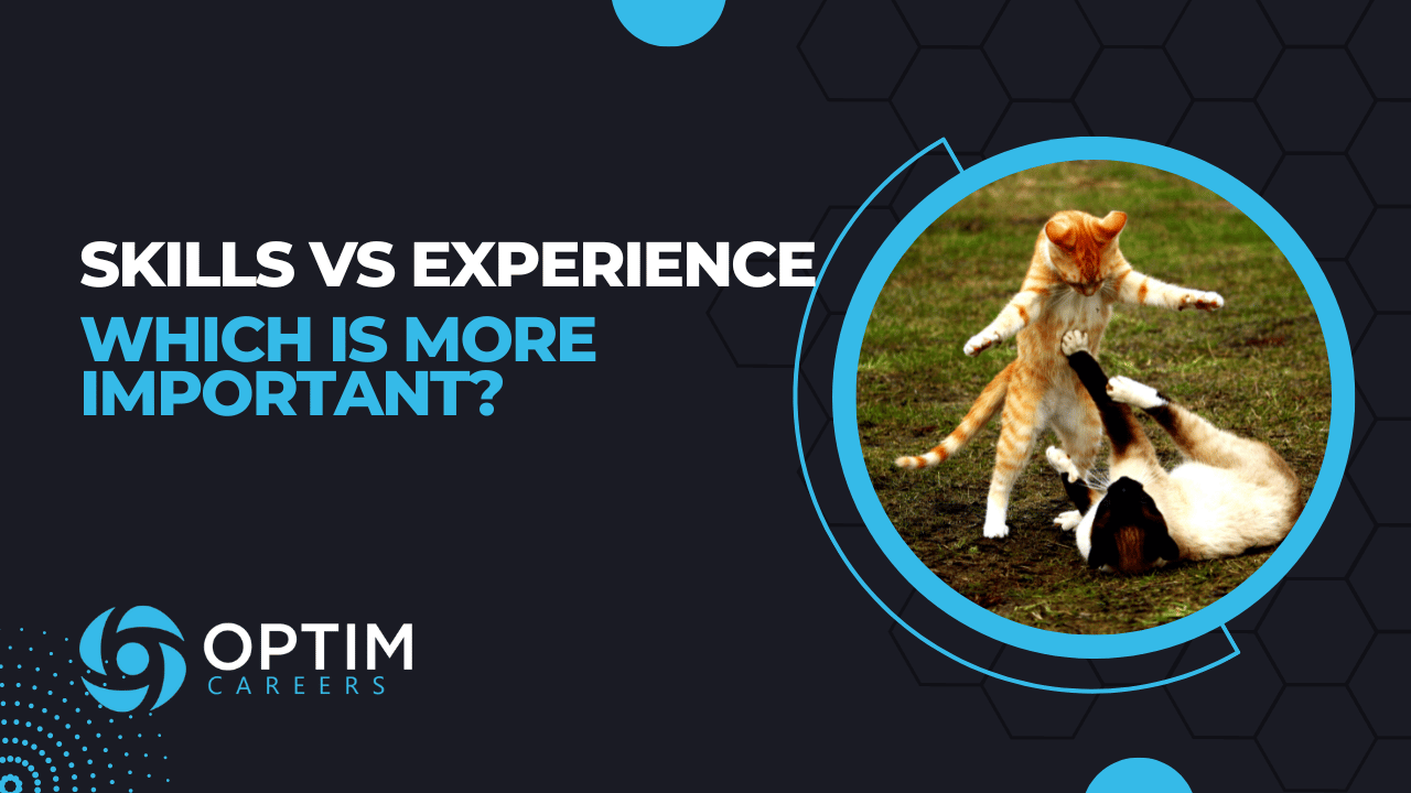 Skills vs Experience in a Resume — Optim Careers