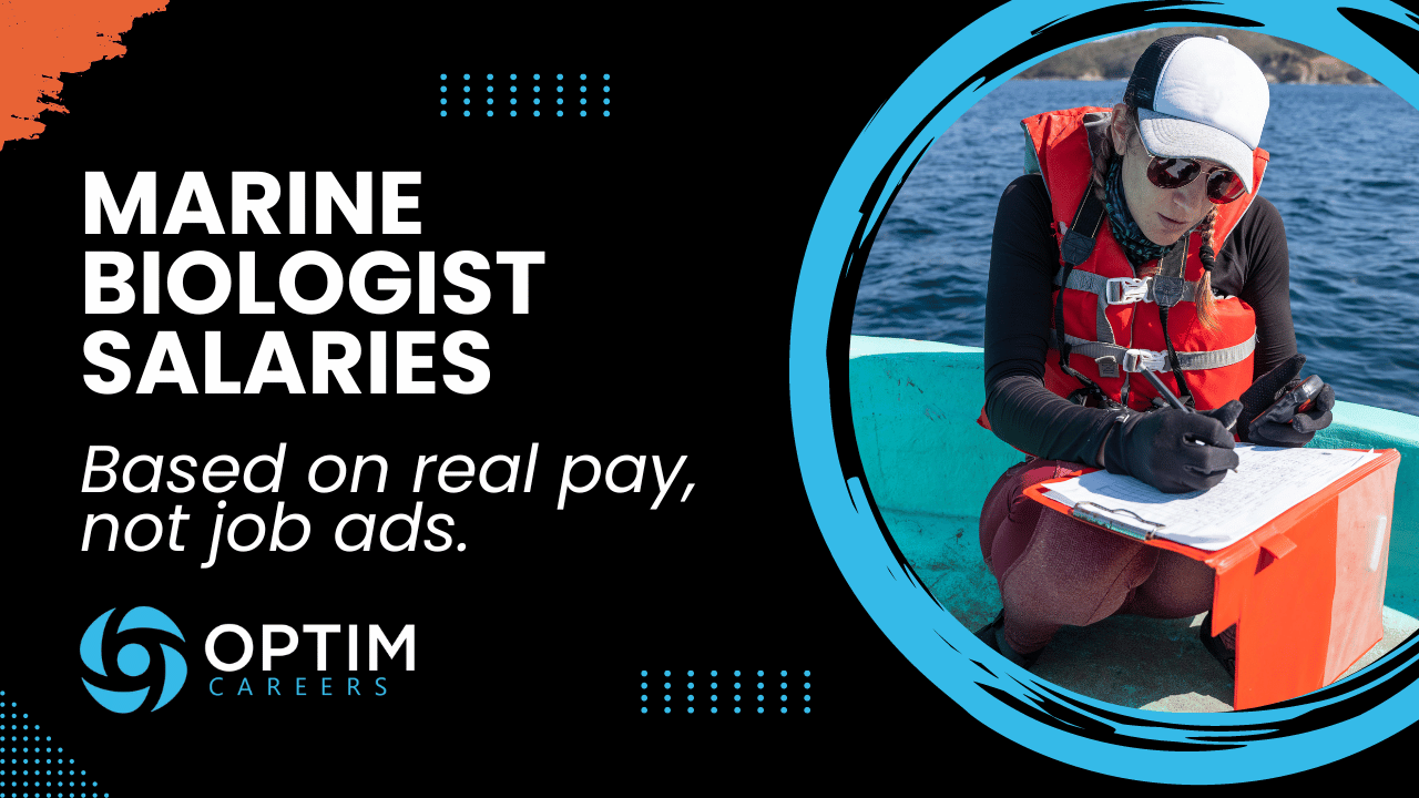 How Much Do Marine Biologists Make [Based on Actual Job Offers] — Optim ...