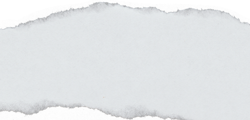 ChatGPT Resume Prompt [Step-by-Step Guides] — Optim Careers