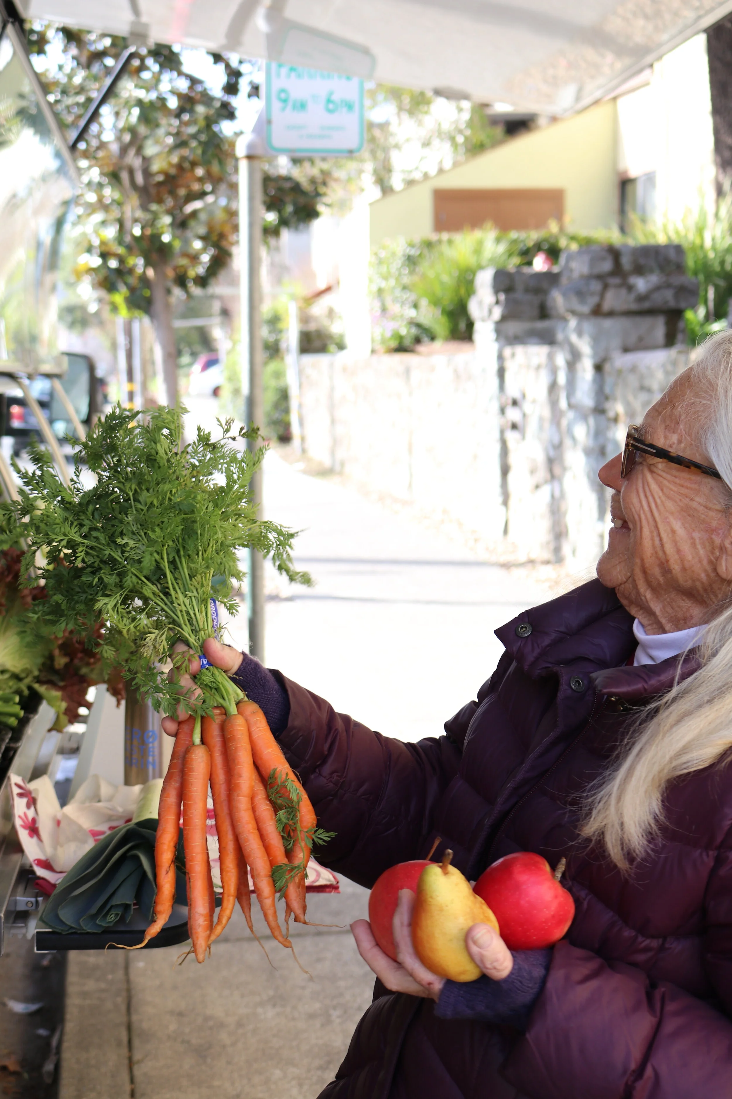 The Rollin' Root — Agricultural Institute of Marin