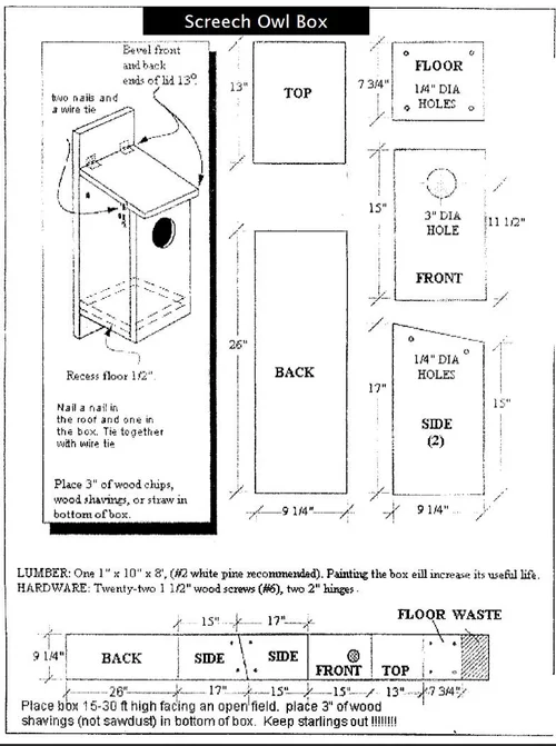Owl Box Plans — Austin Wildlife Rescue