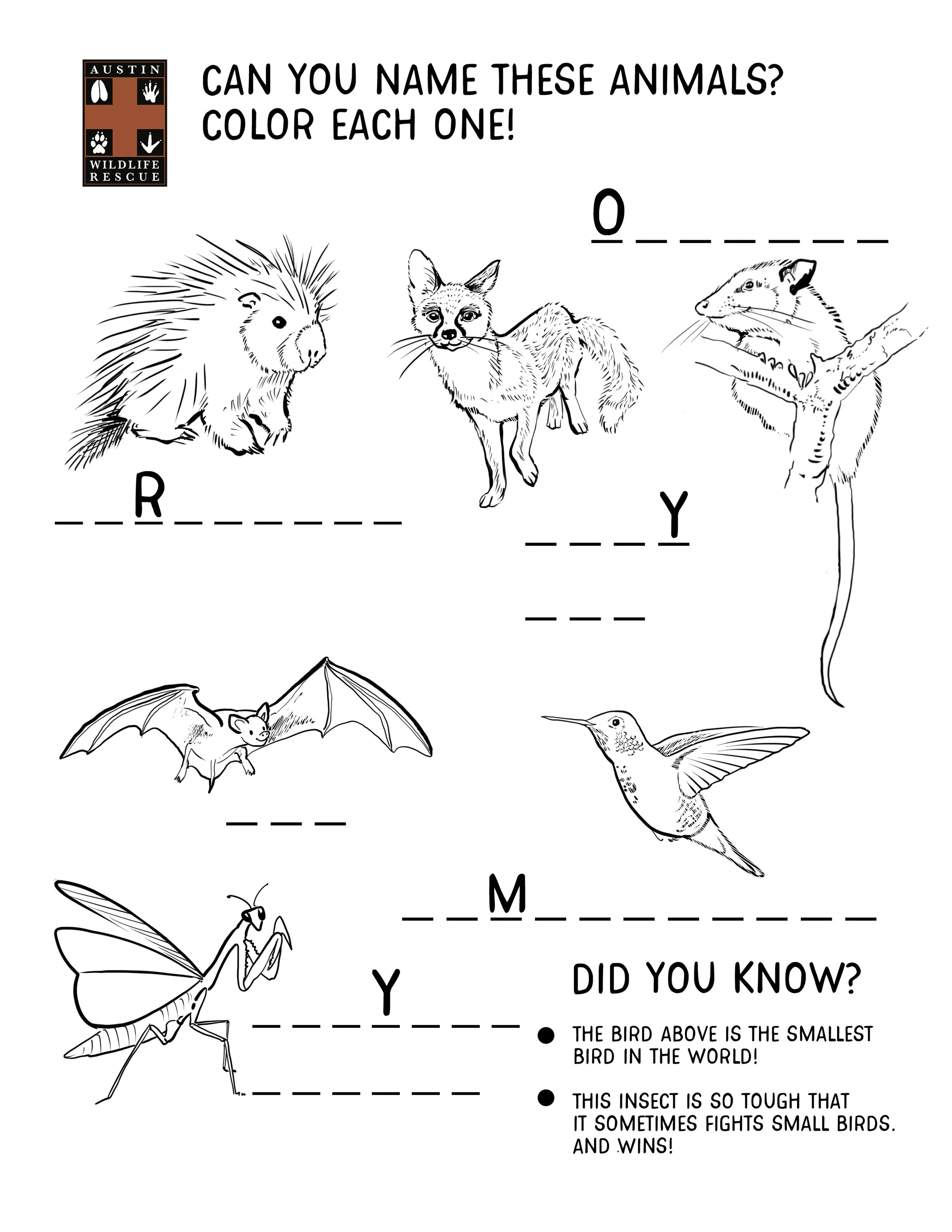 Kids Activity Sheets — Austin Wildlife Rescue