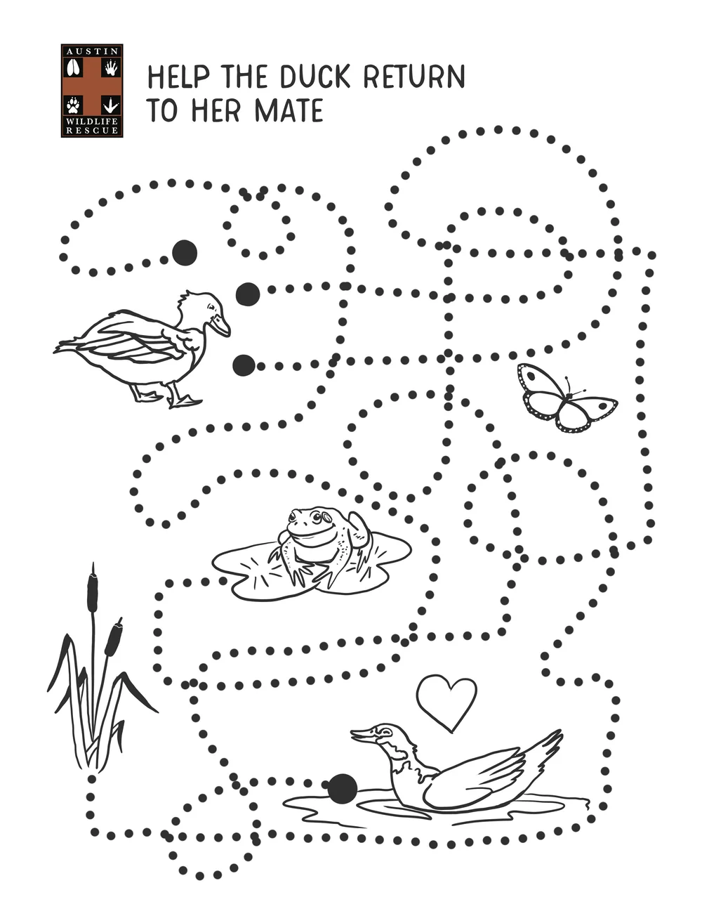 Kids Activity Sheets — Austin Wildlife Rescue