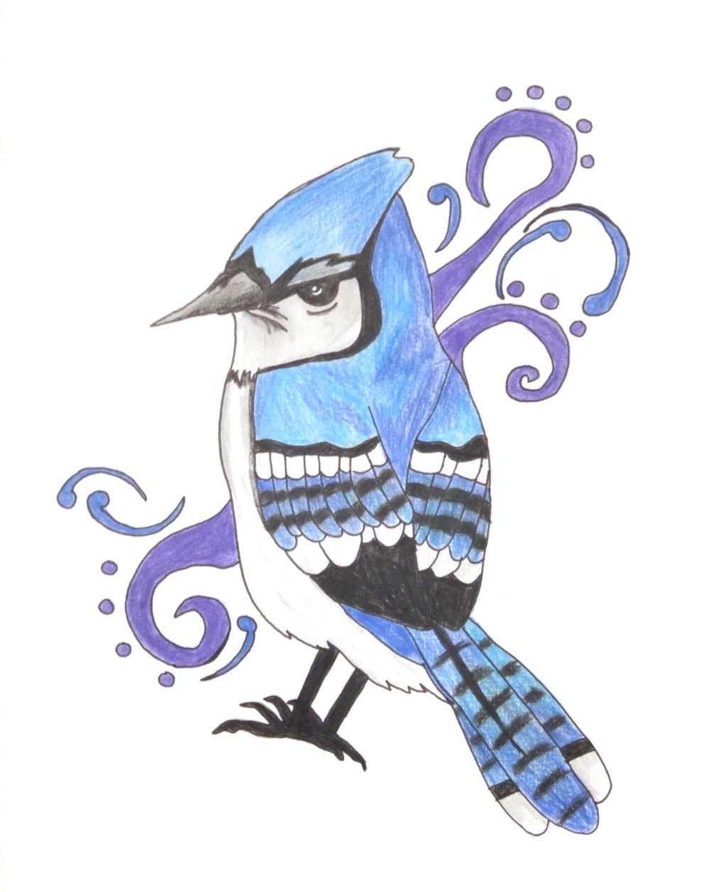 Student Wildlife Art Competition Art Entries — Austin Wildlife Rescue