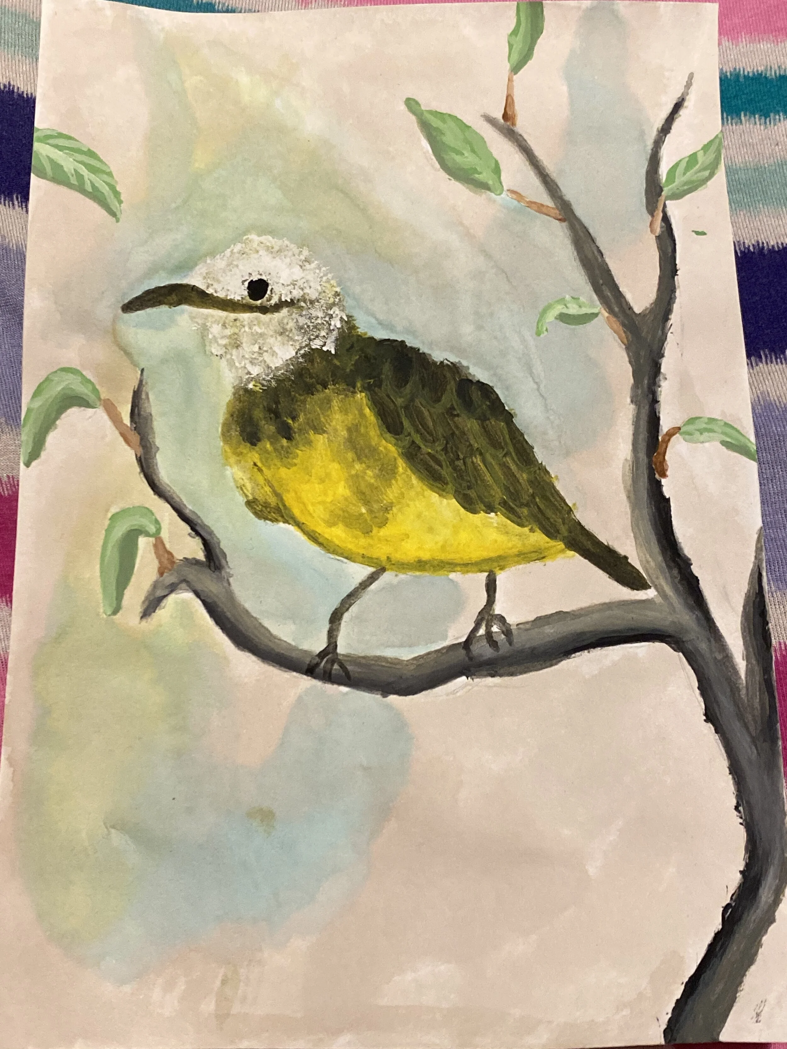 Student Wildlife Art Competition Art Entries — Austin Wildlife Rescue