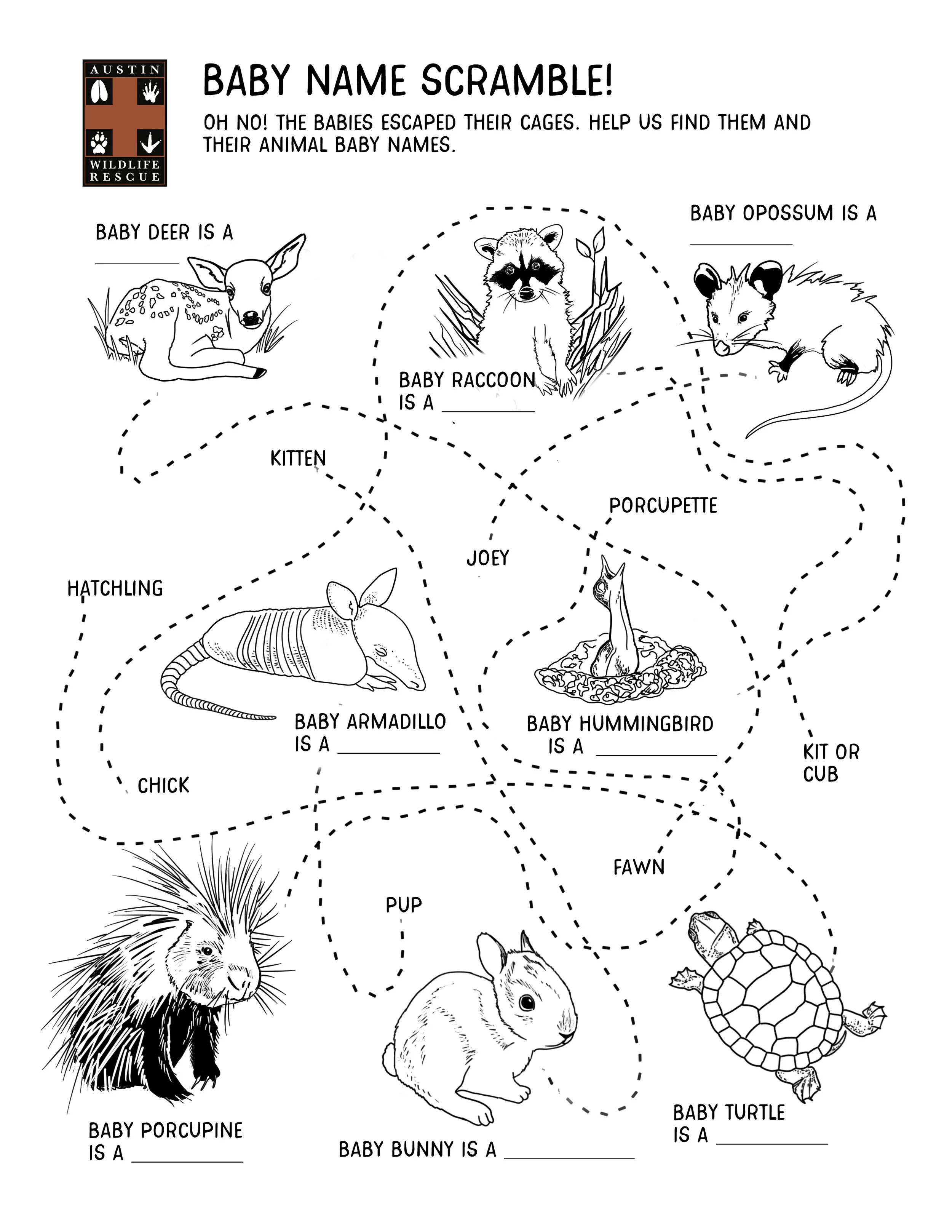 Kids Activity Sheets — Austin Wildlife Rescue