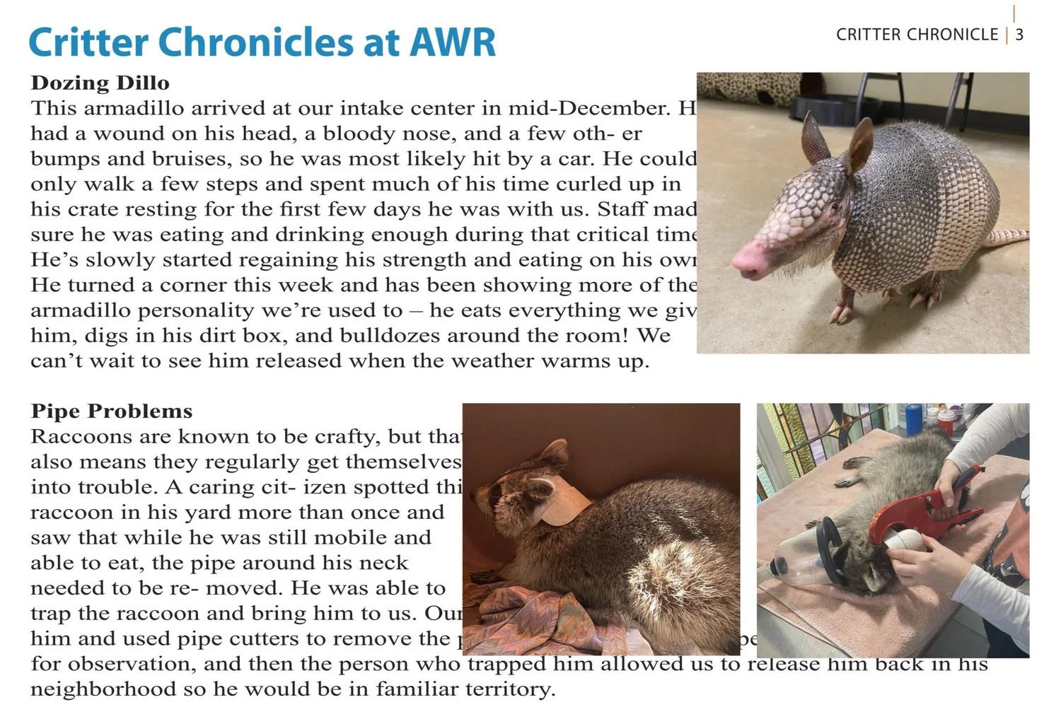 NEWS — Austin Wildlife Rescue
