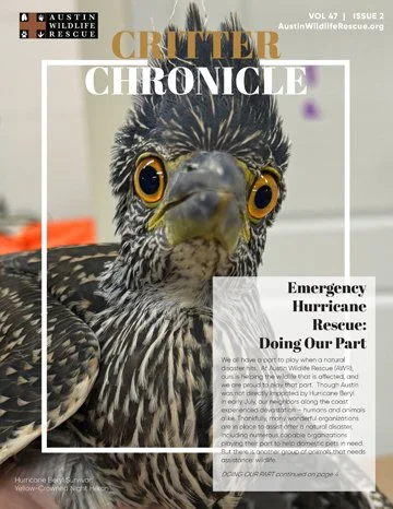 NEWS — Austin Wildlife Rescue