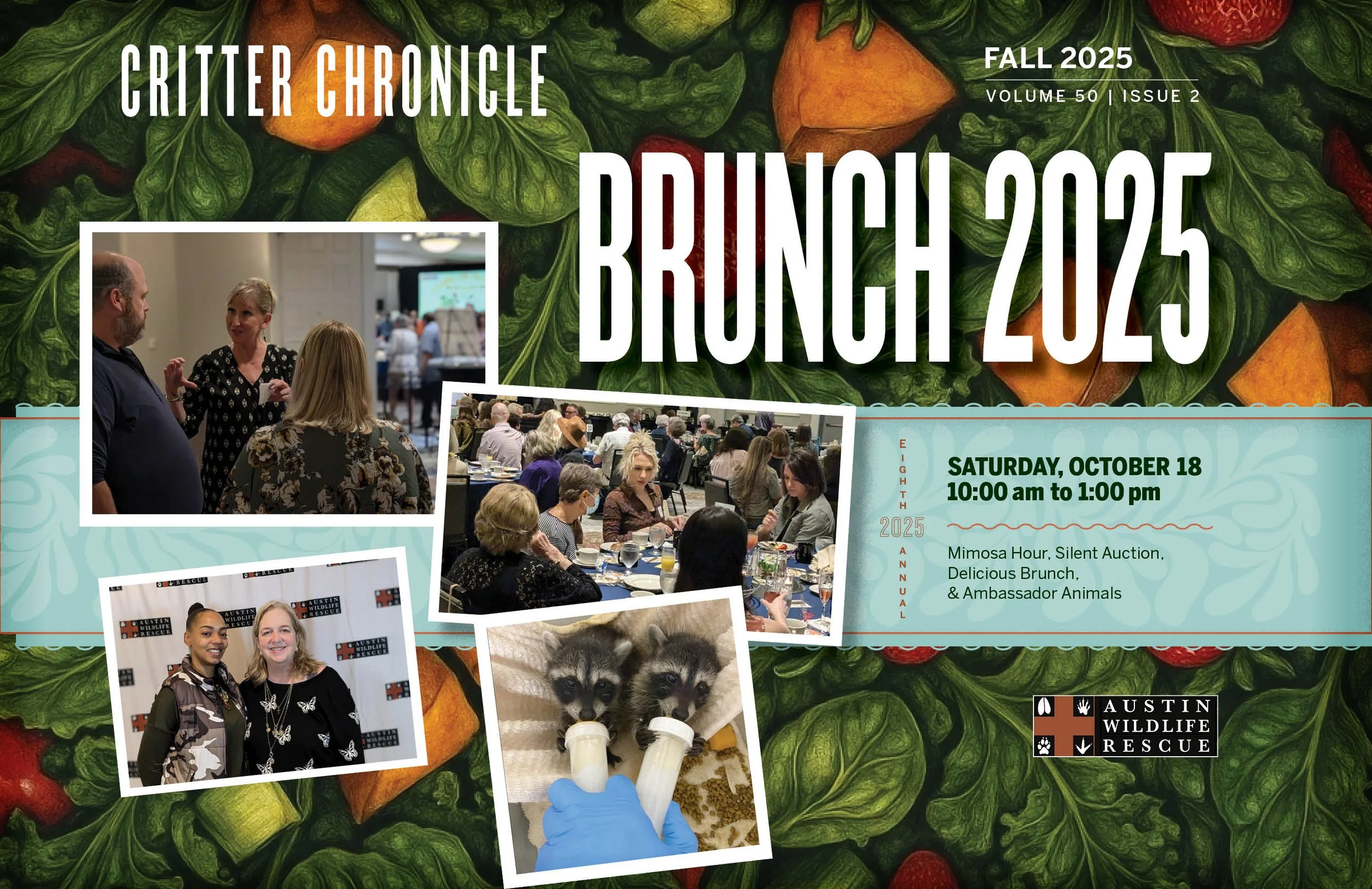 Austin Wildlife Rescue