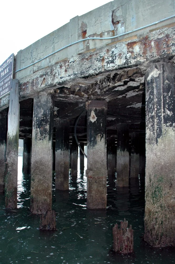 Preserving the Heart of Our Community: The Aquatic Park Pier ...