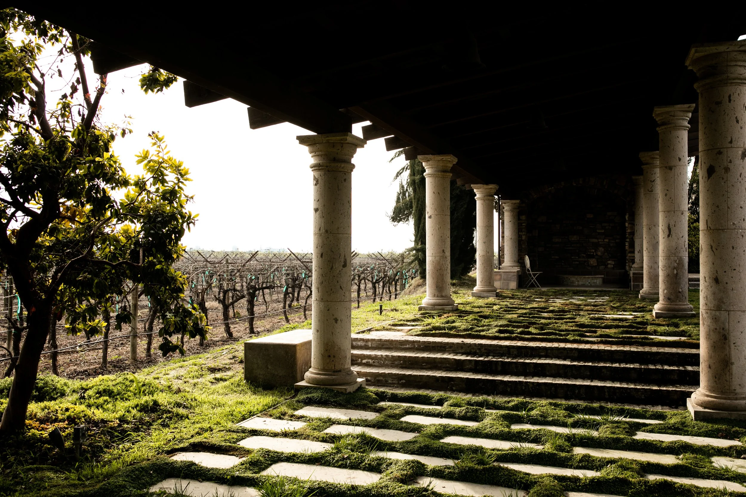 the vinyard — Absolute Design
