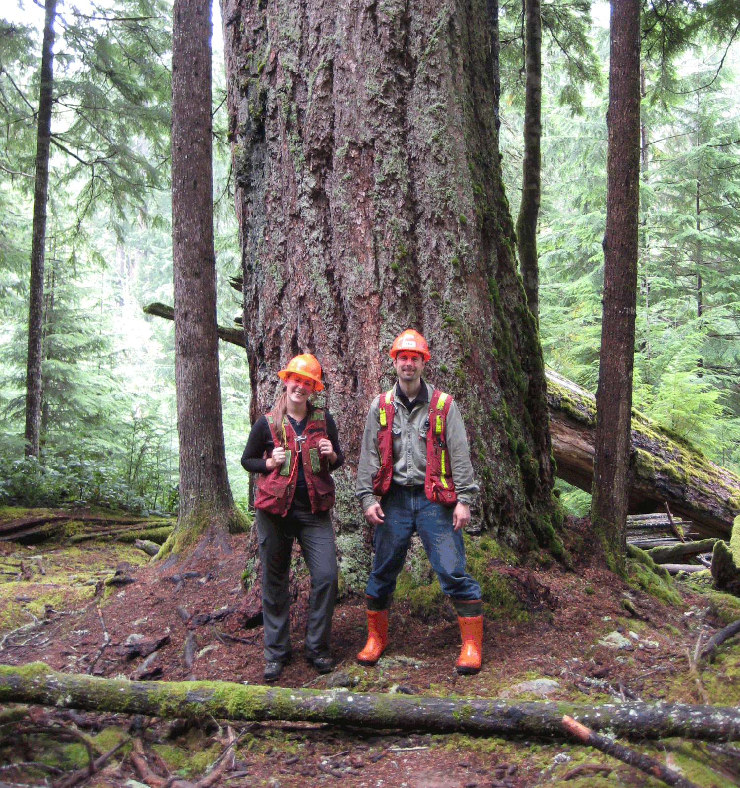 New Chief Forester at Mosaic Demonstrates a Continuation of Commitment ...