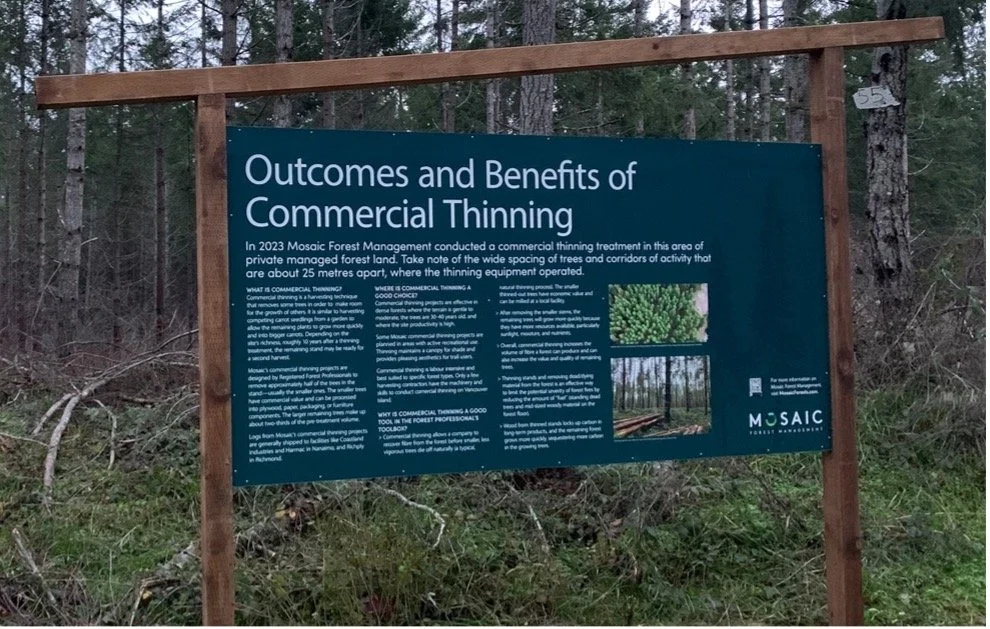 Tree Thinning as Forest Gardening — Mosaic Forest Management