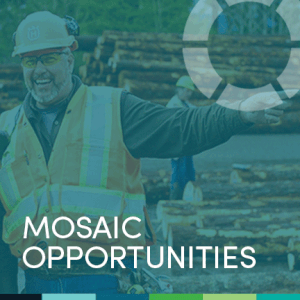 Careers - Mosaic Career Opportunities — Mosaic Forest Management