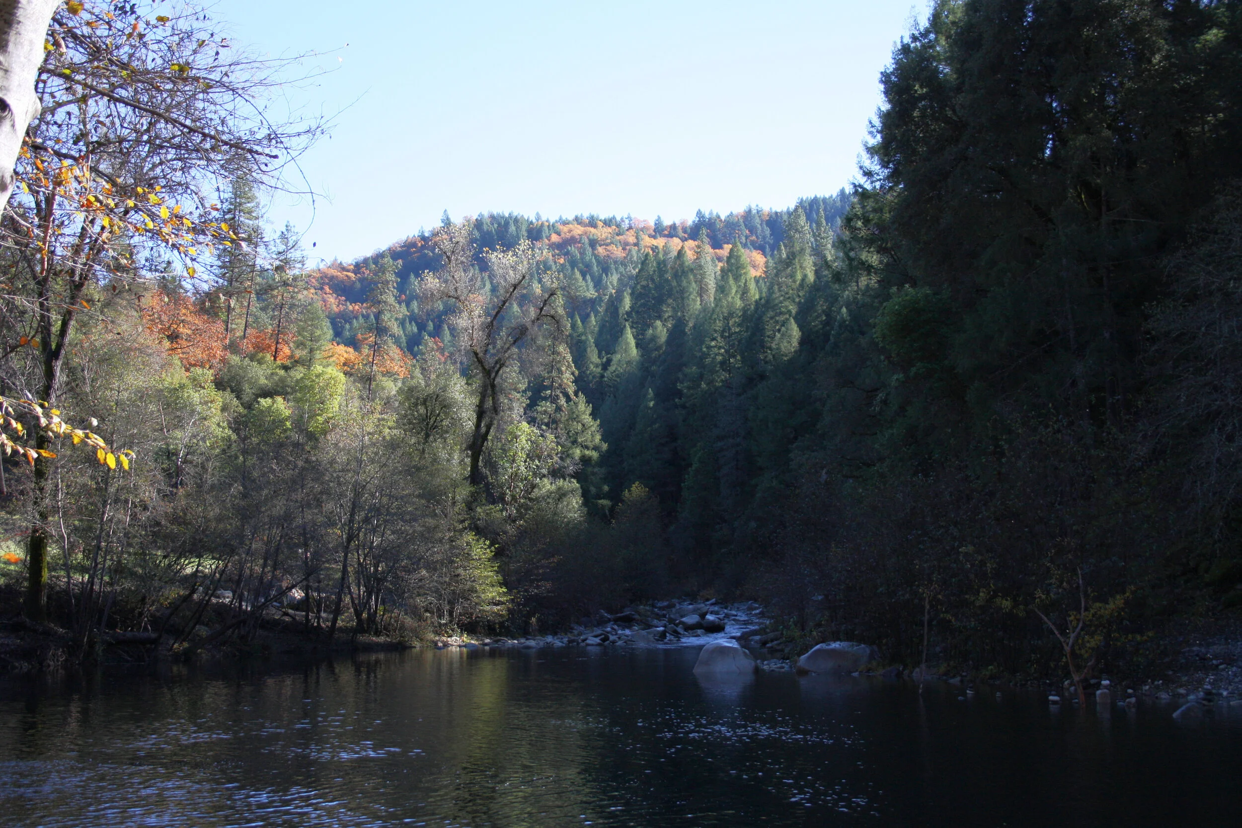 Our Story — Wild River Fruit