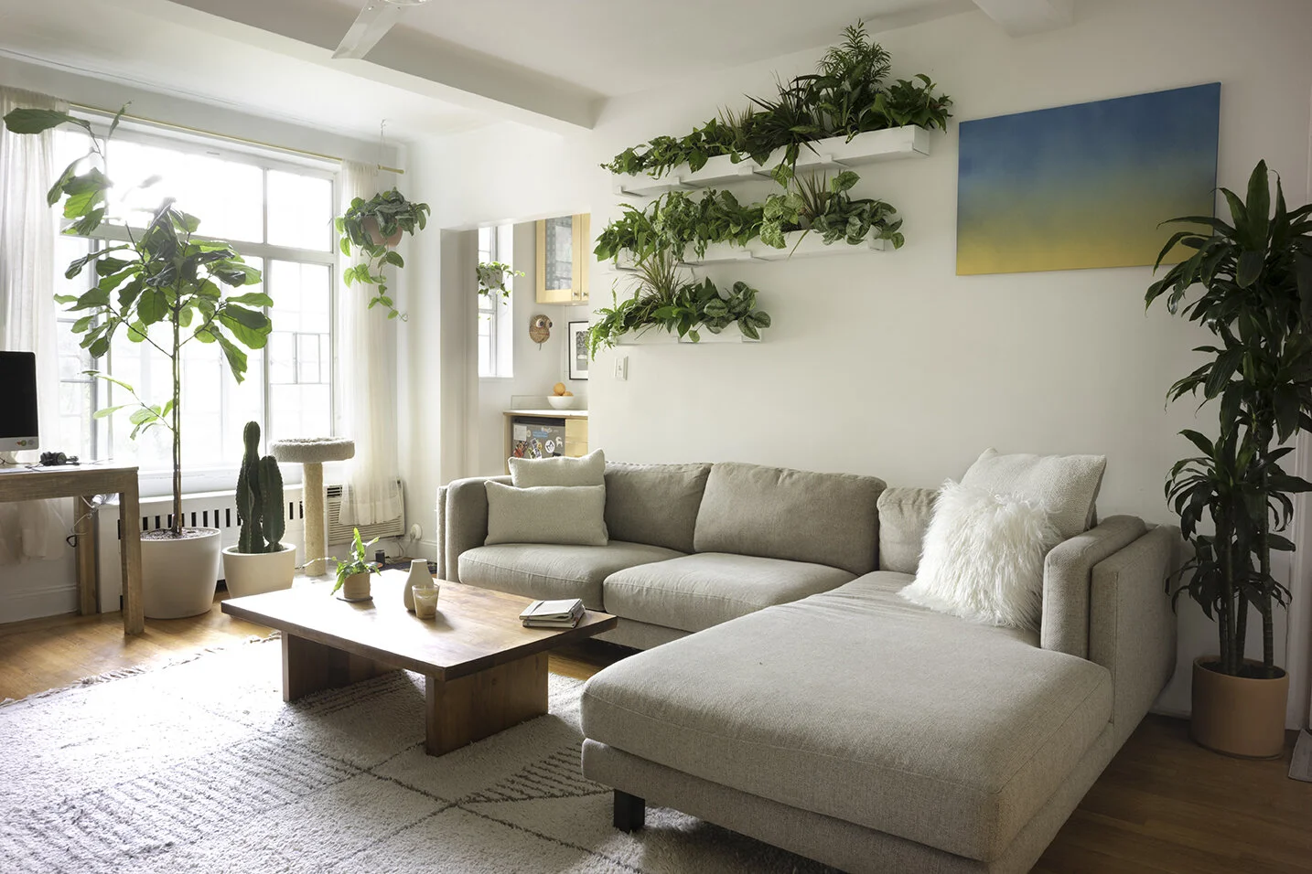 Interior Plant Design Work — Lady Pruner