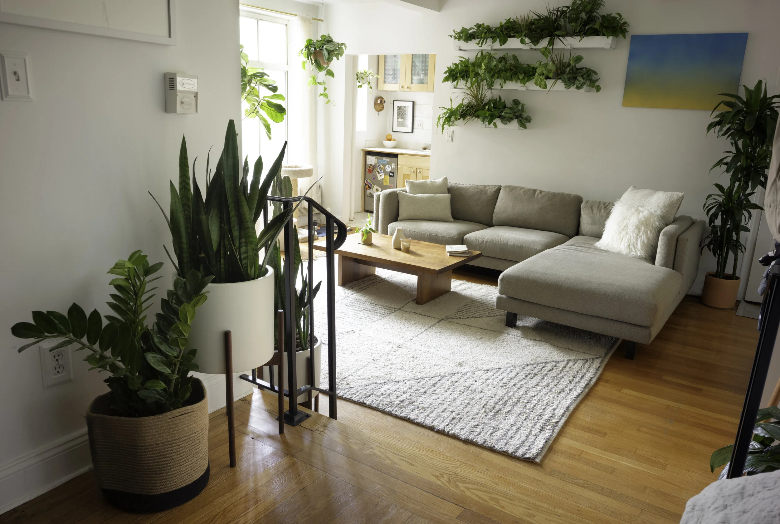 Interior Plant Design Work — Lady Pruner