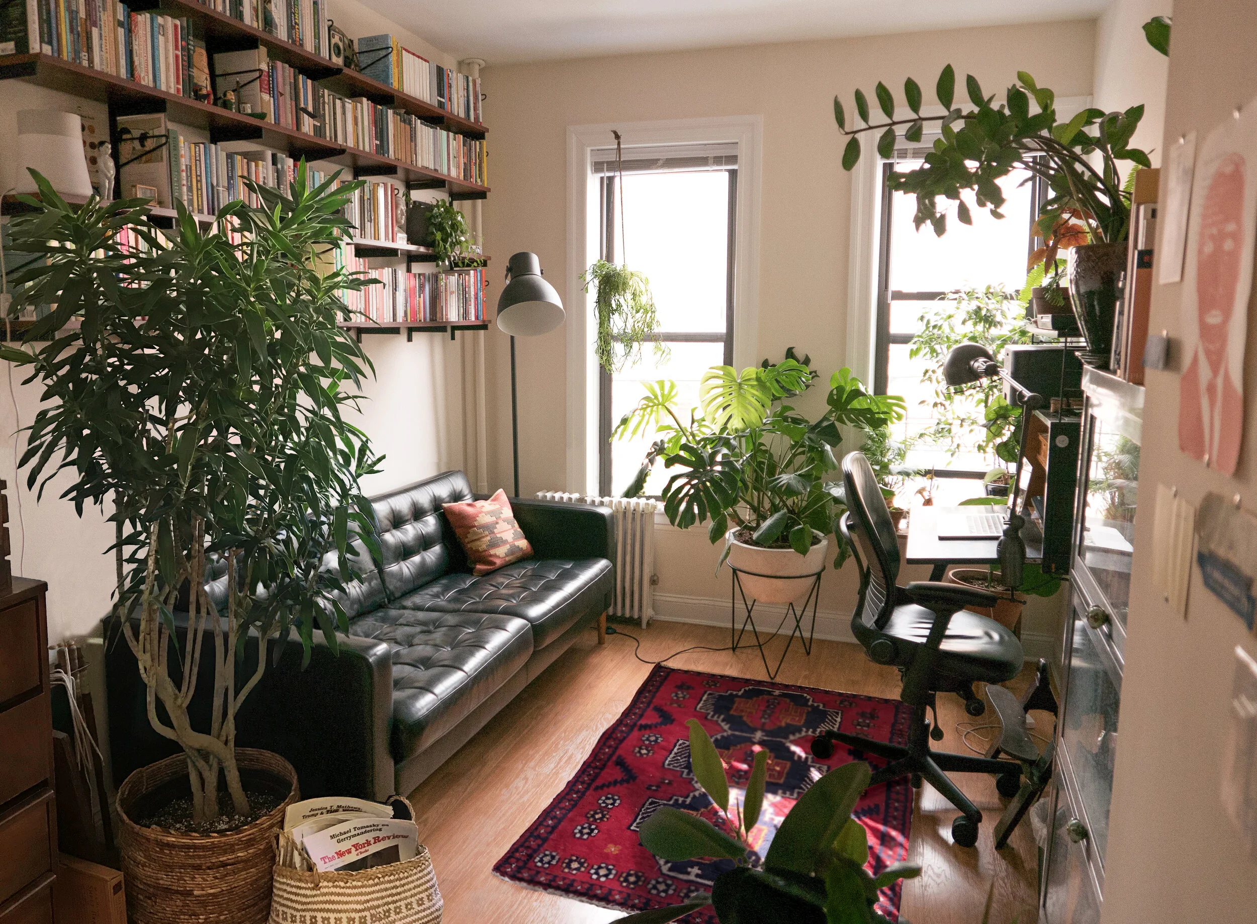 Interior Plant Design Work — Lady Pruner