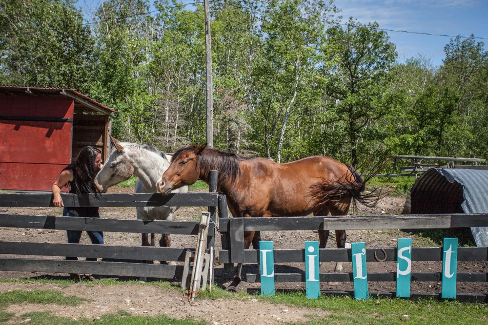 Animal-Assisted Therapy — Lil' Steps Wellness