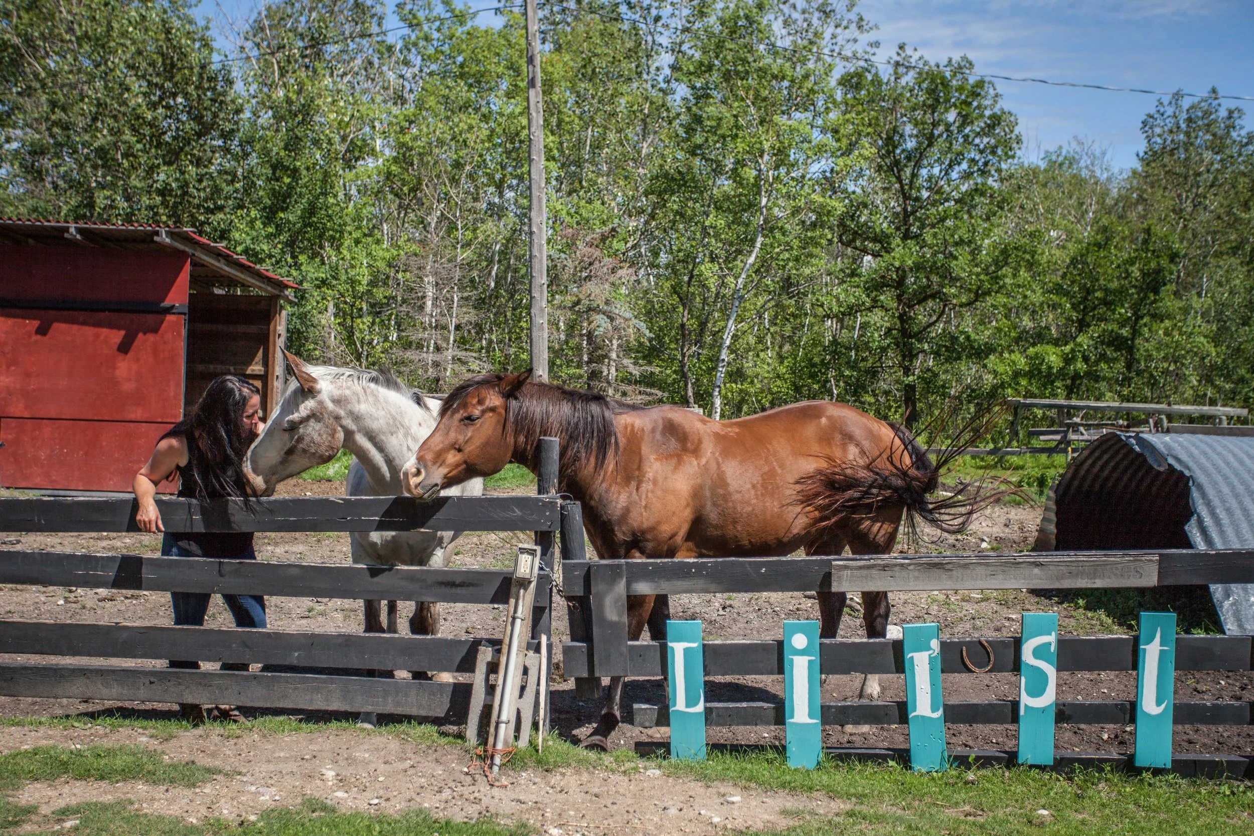Animal-Assisted Therapy — Lil' Steps Wellness