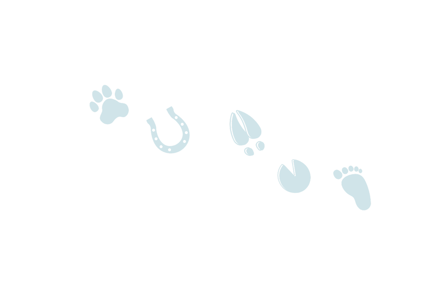 Therapy Services — Lil' Steps Wellness