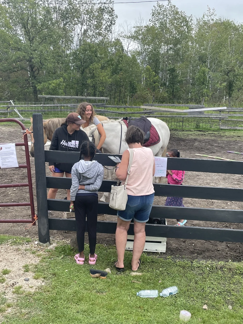 Therapy Services - Lil' Steps Wellness