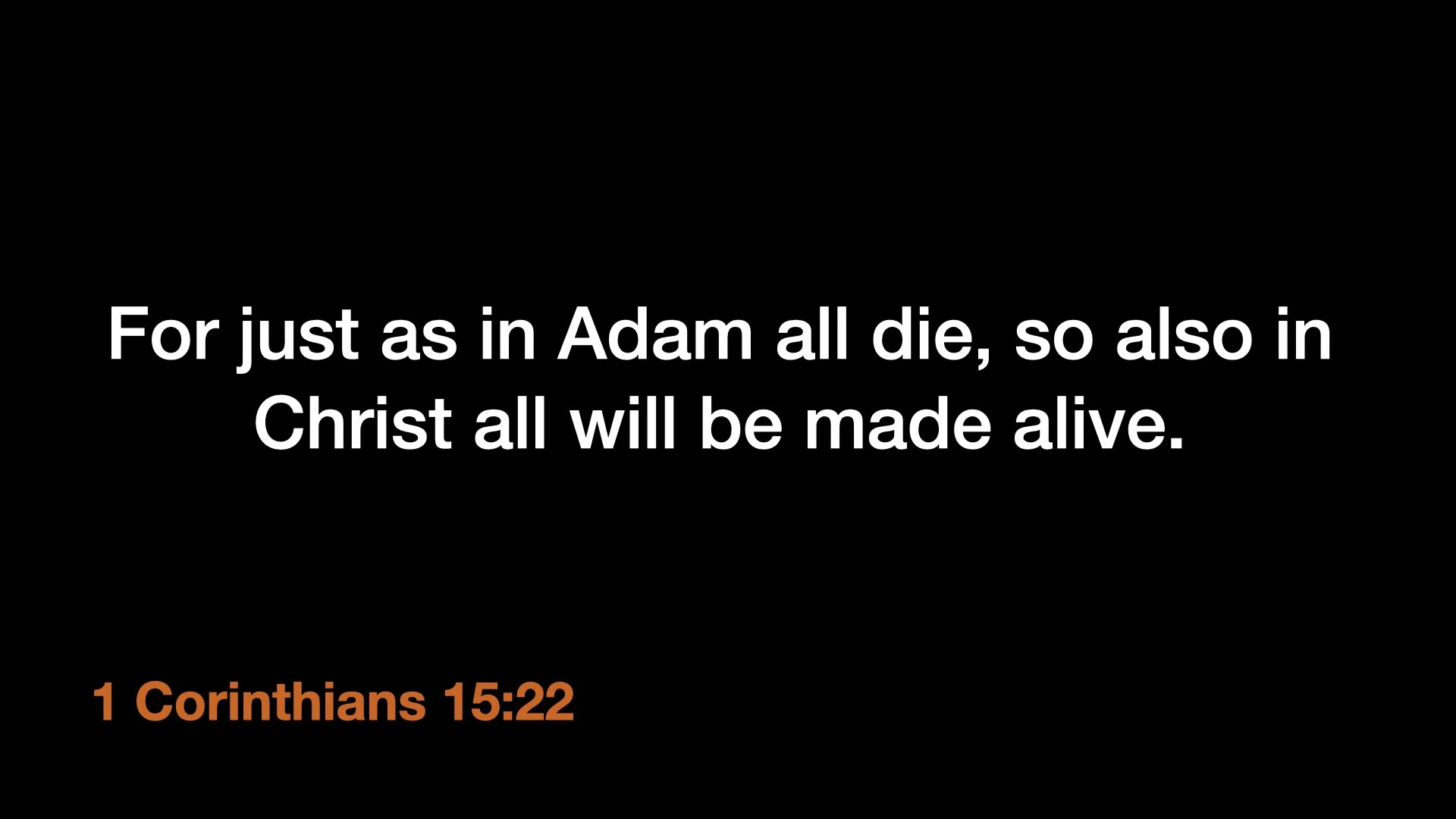 Jesus Christ as the second Adam. | 2 Cities Church