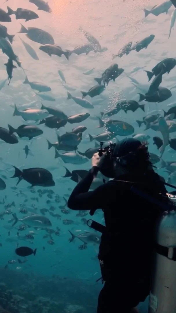 Projects | Matt Porteous | Award Winning Royal Family Photographer