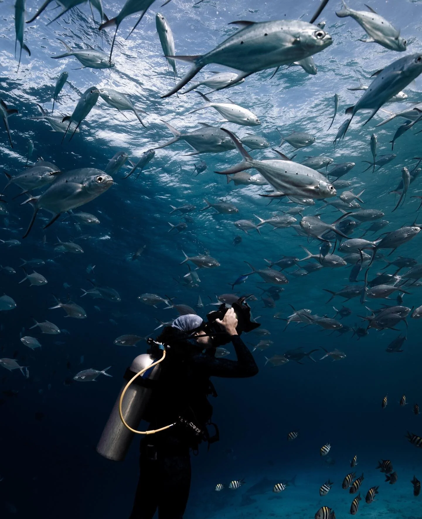 Folio | Matt Porteous | Award Winning Royal Family Photographer