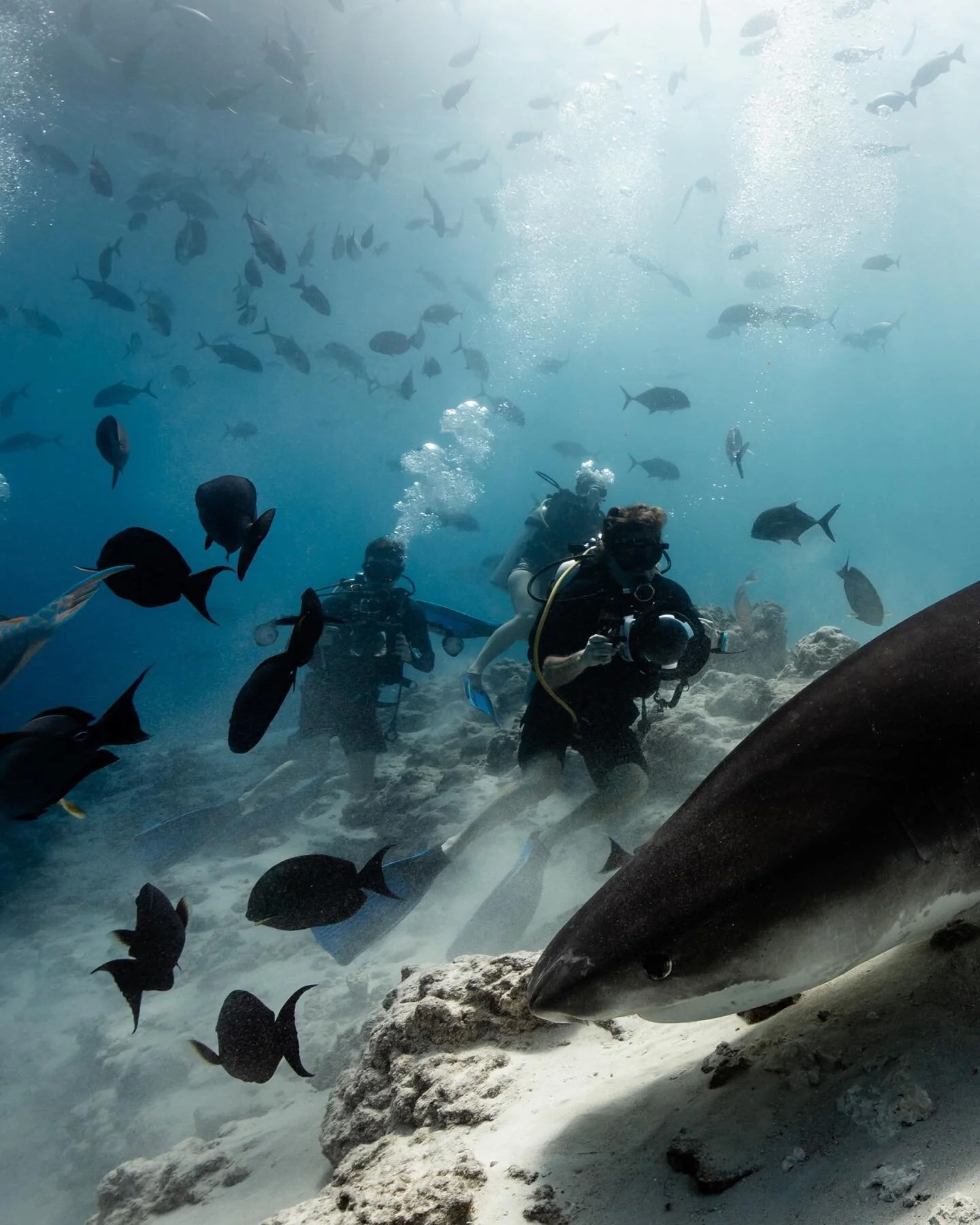 About Us - Commercial, Lifestyle and Royal Photographer | Matt Porteous ...