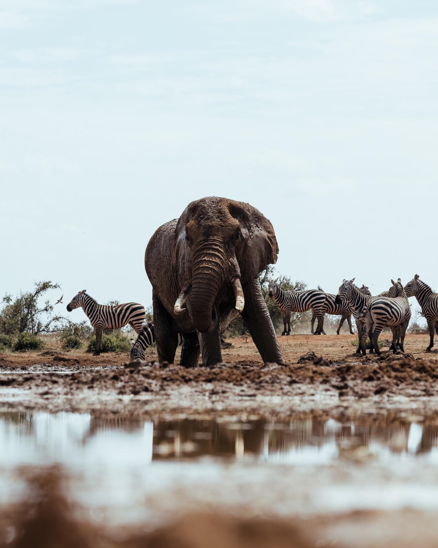 Projects | Matt Porteous | Award Winning Royal Family Photographer
