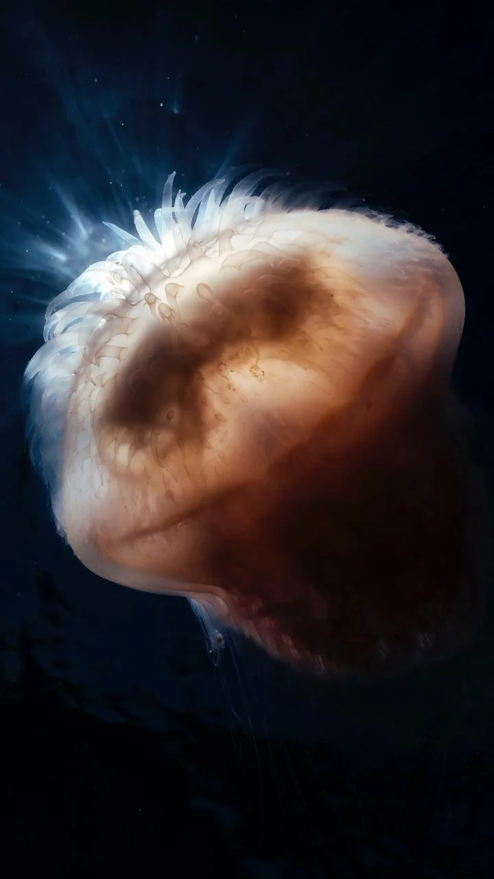 Photographer & Filmmaker | Short Films Produced by Matt Porteous | Matt ...