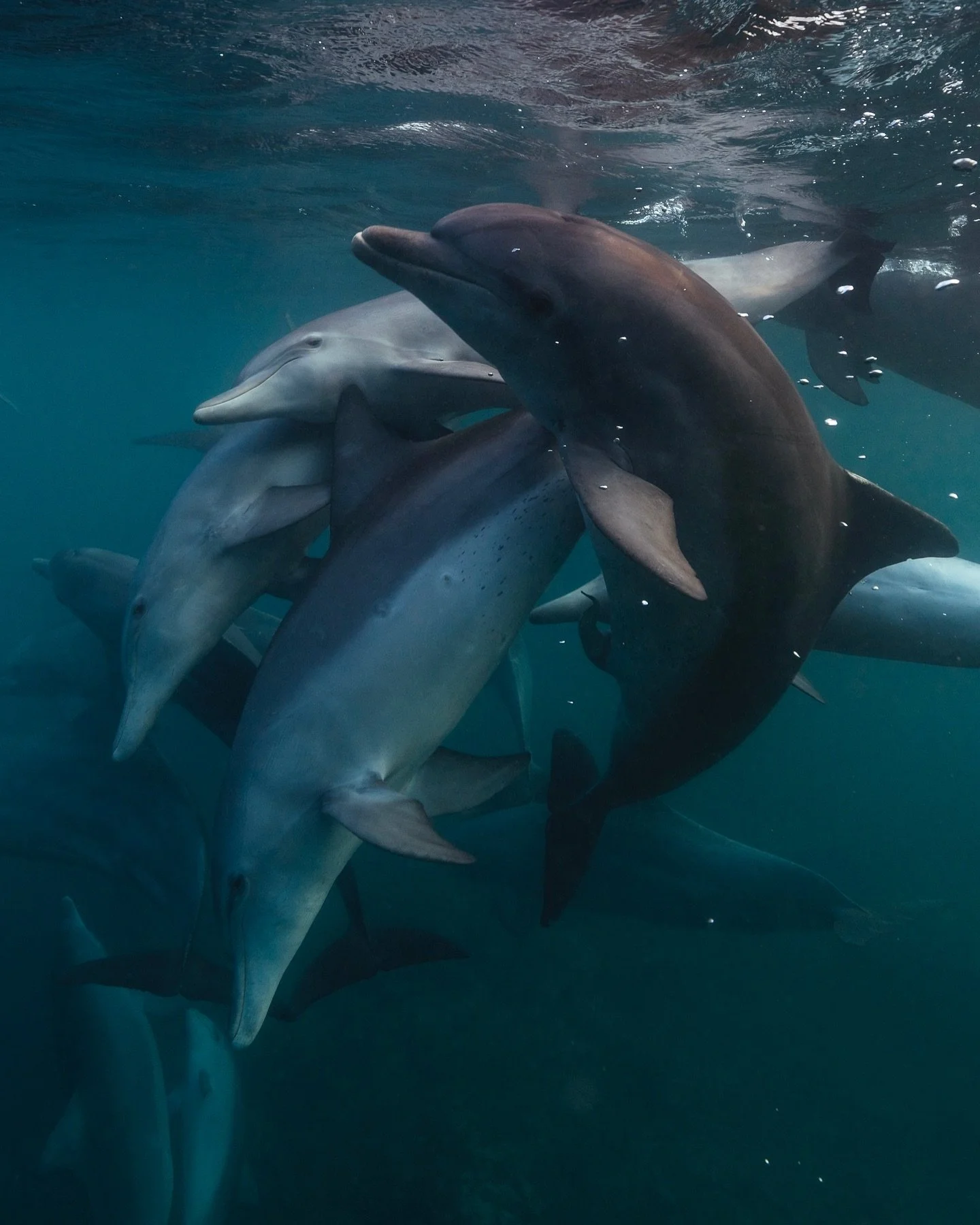 Projects | Matt Porteous | Award Winning Royal Family Photographer