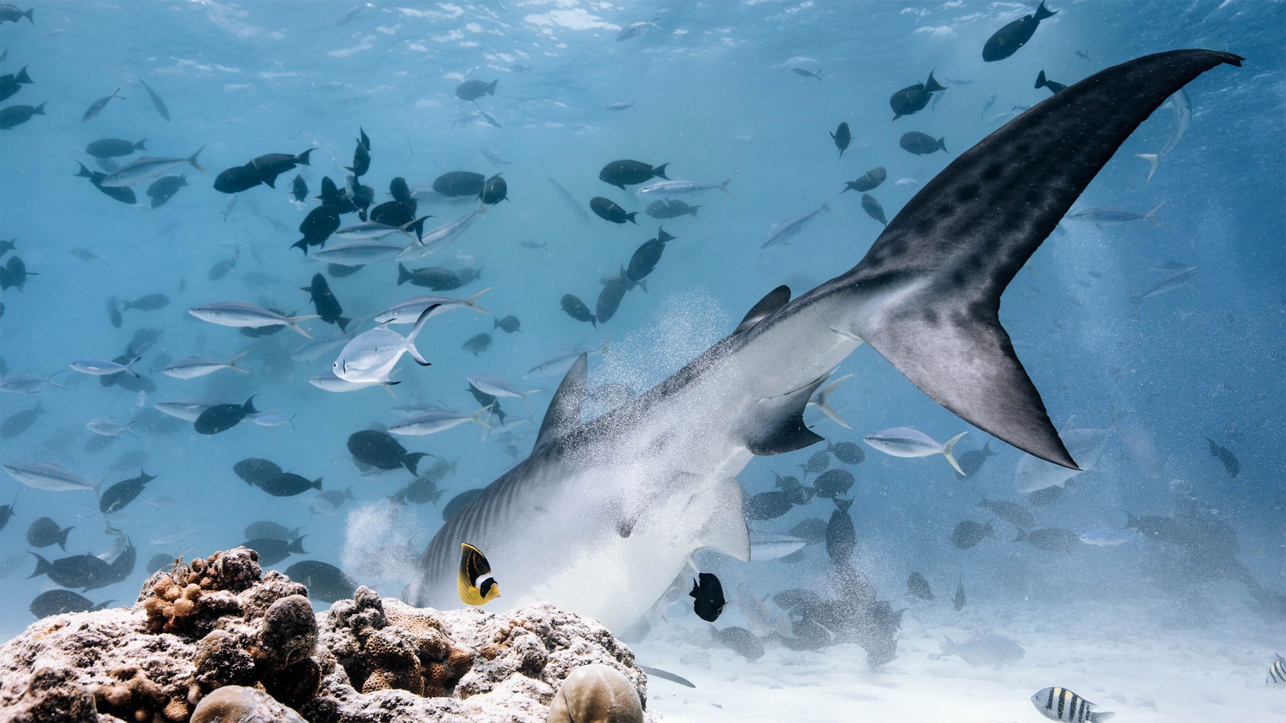 About Us - Commercial, Lifestyle and Royal Photographer | Matt Porteous ...