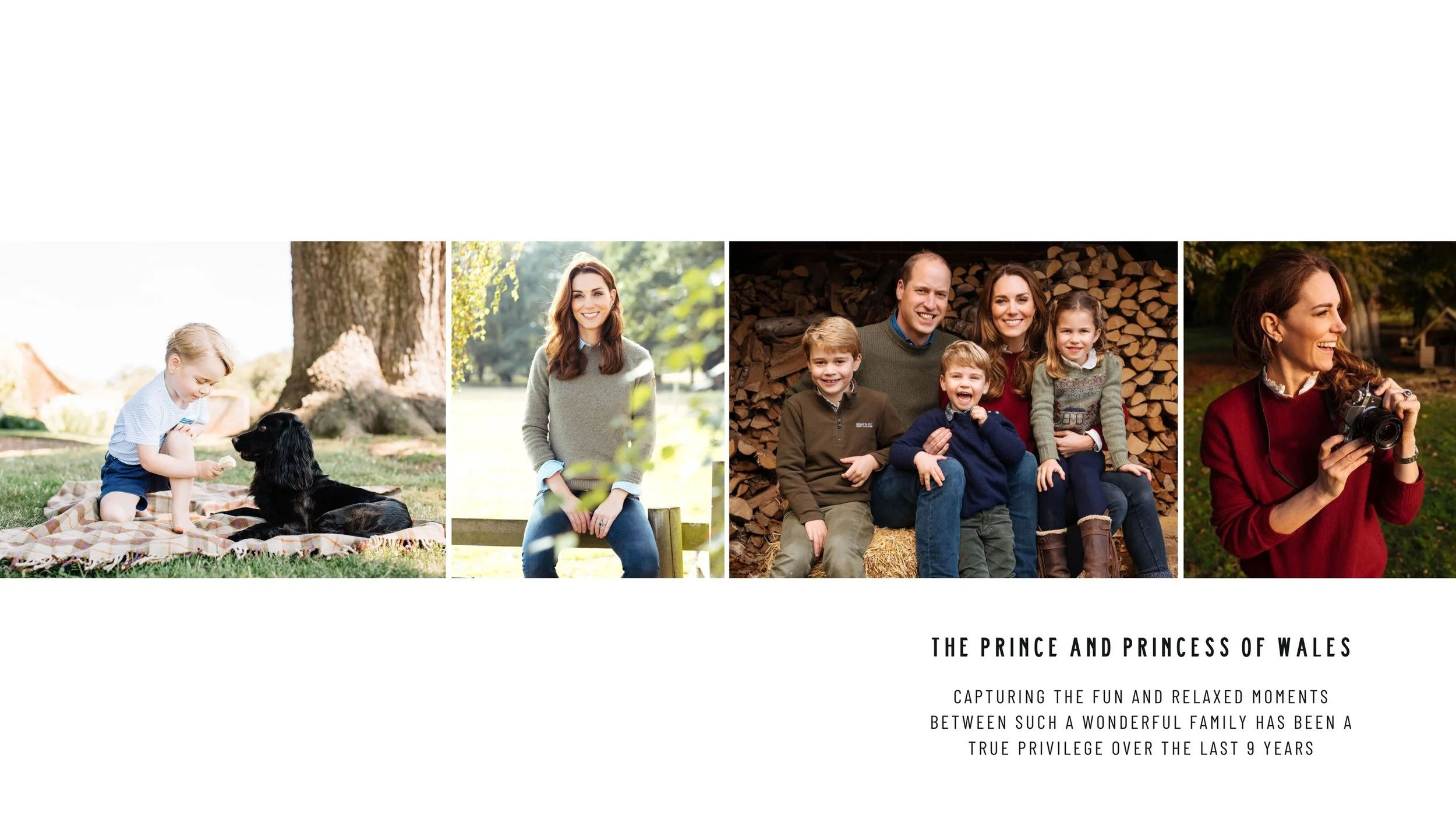 Matt Porteous: Award-Winning Photographer & Environmental Advocate ...