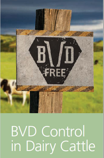 BVD Toolkits — BVD Free New Zealand
