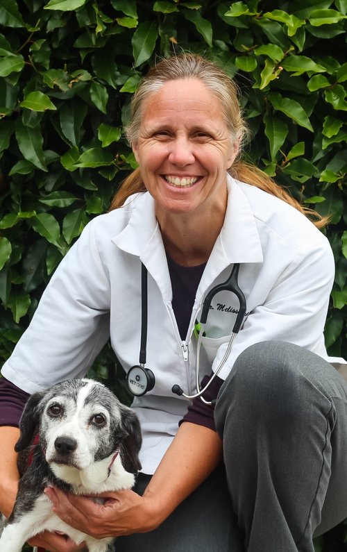 Meet Our Team — South Hill Veterinary Hospital