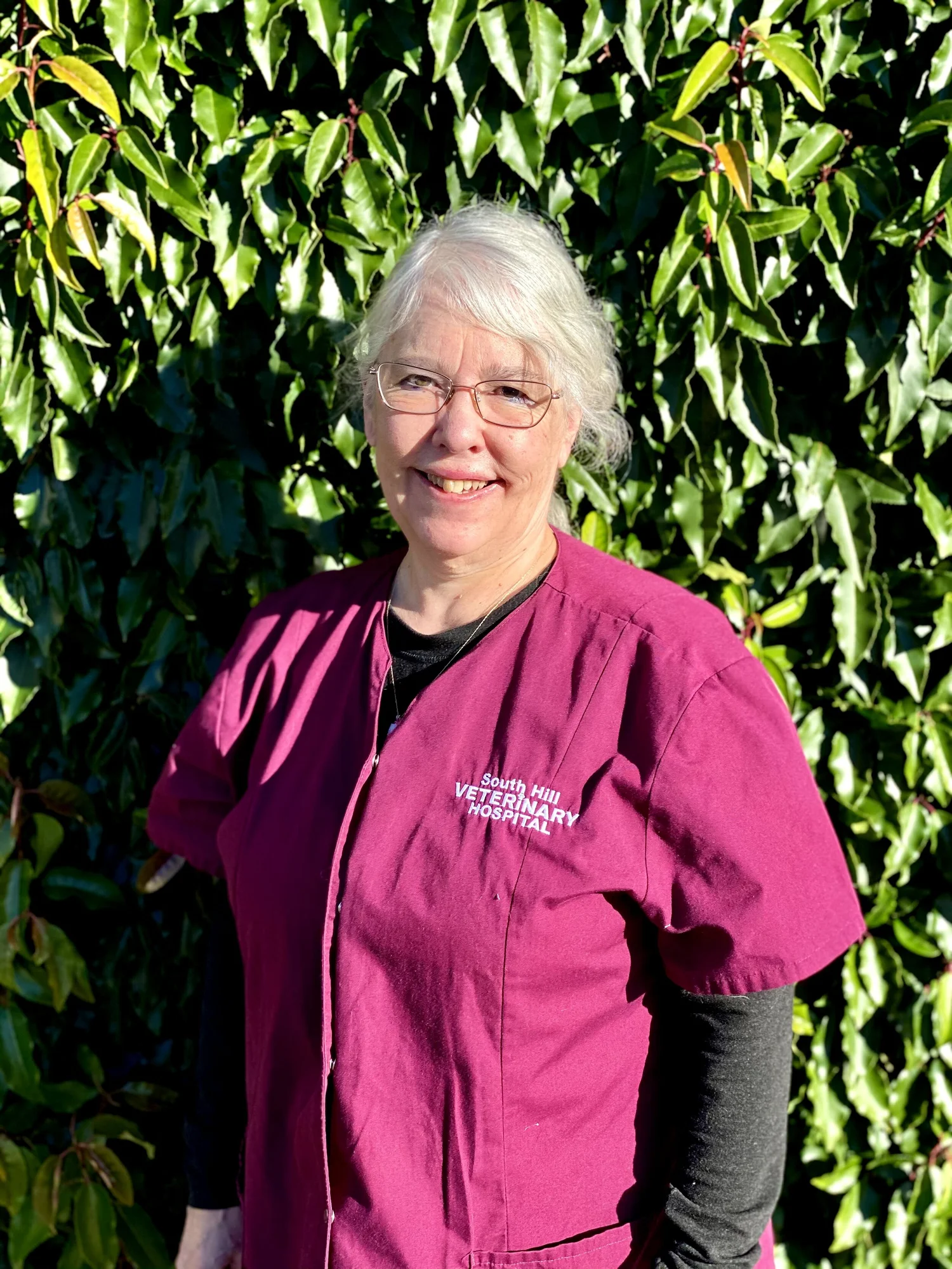 Meet Our Team — South Hill Veterinary Hospital