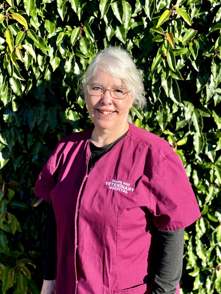 Meet Our Team — South Hill Veterinary Hospital