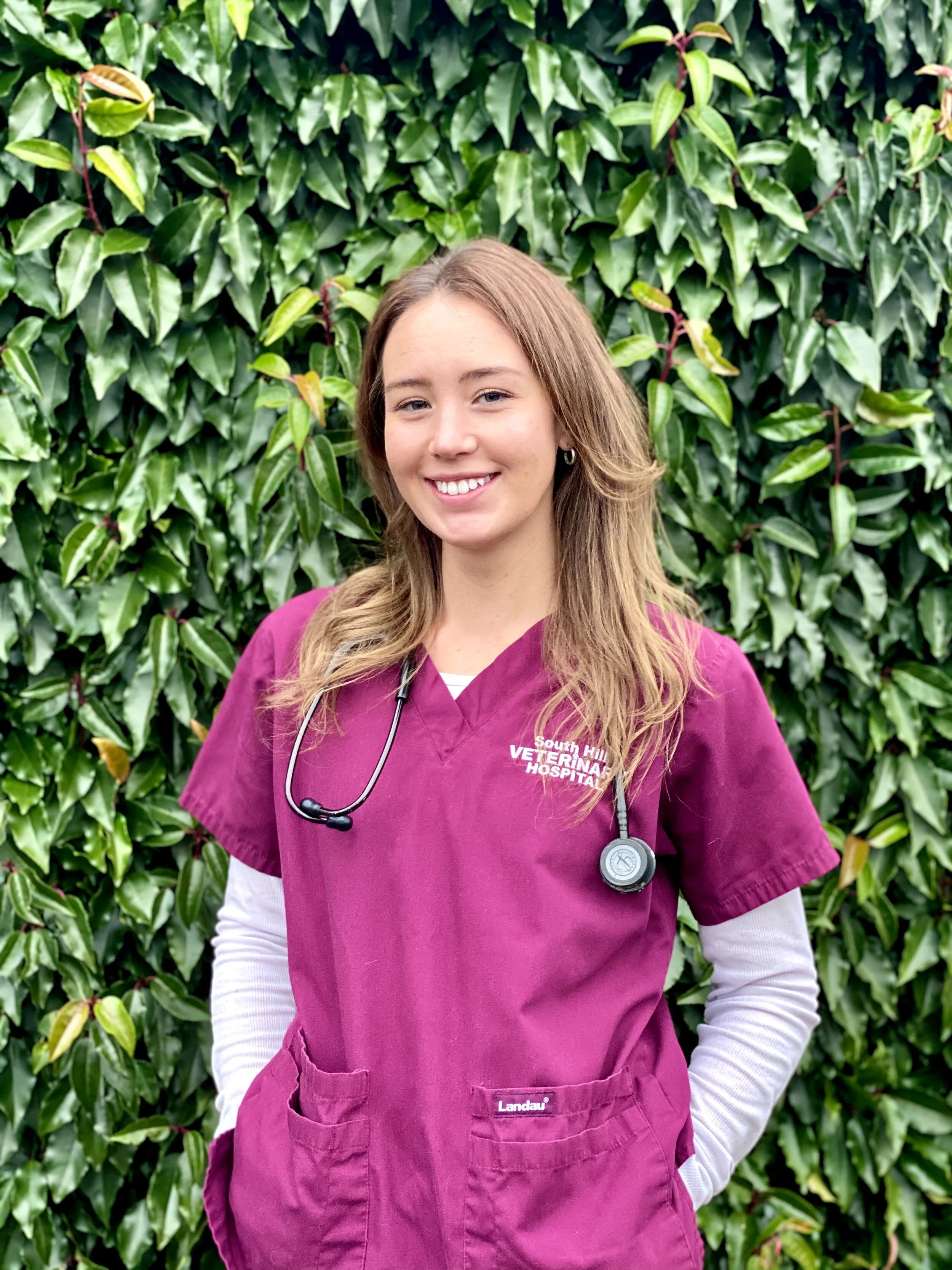 Meet Our Team — South Hill Veterinary Hospital
