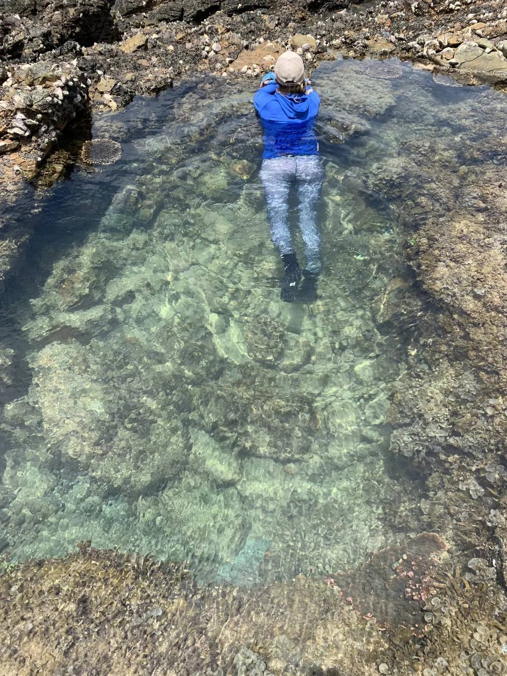 Temple Island — Private Islands Online Australia