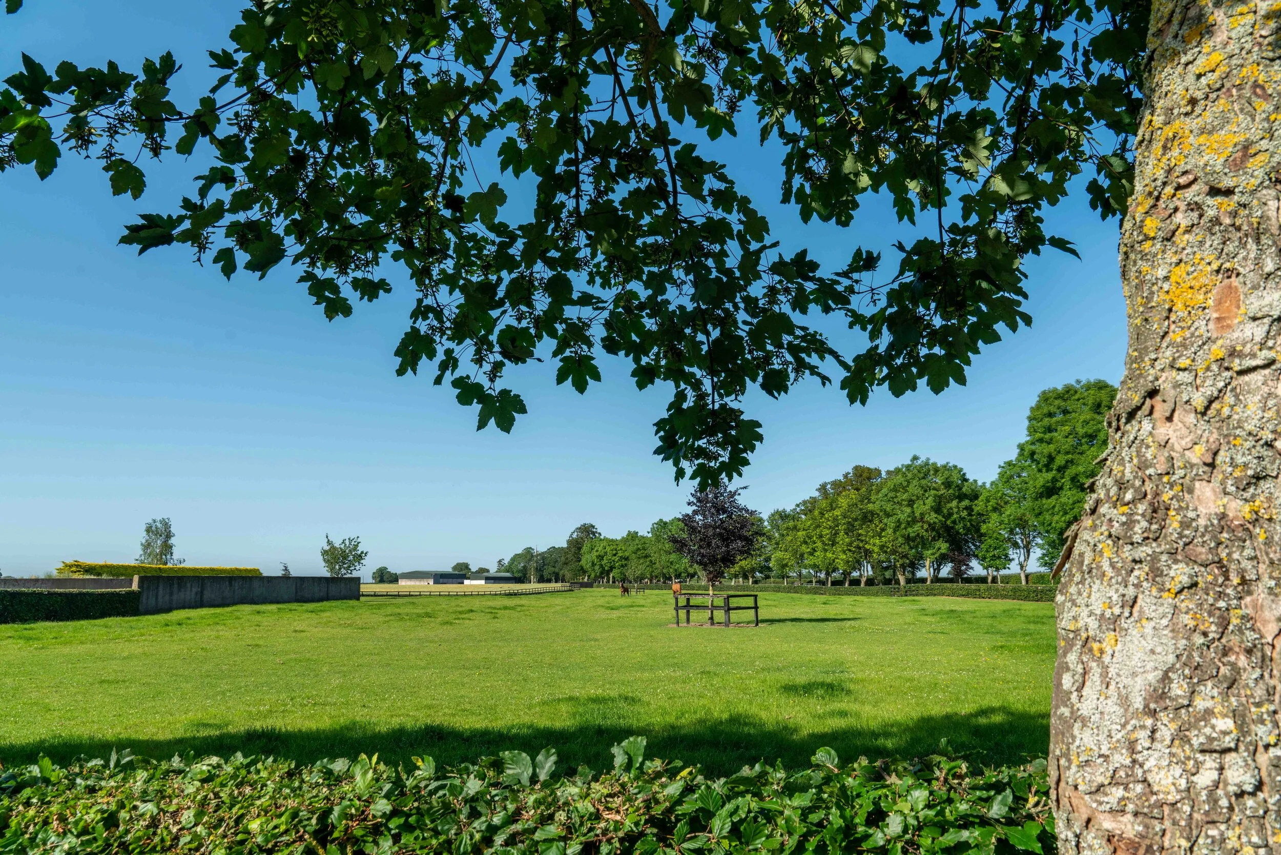 Bert House Stud, Bert Demesne, Athy, Co. Kildare — Jordan Auctioneers