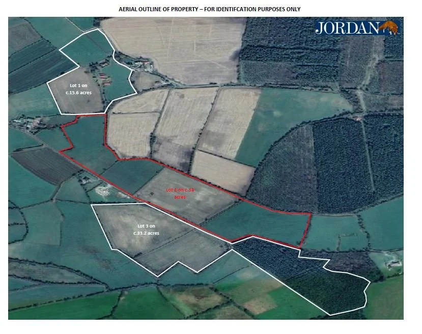 CLONYGOWAN, BALLYFIN, CO. LAOIS — Jordan Auctioneers