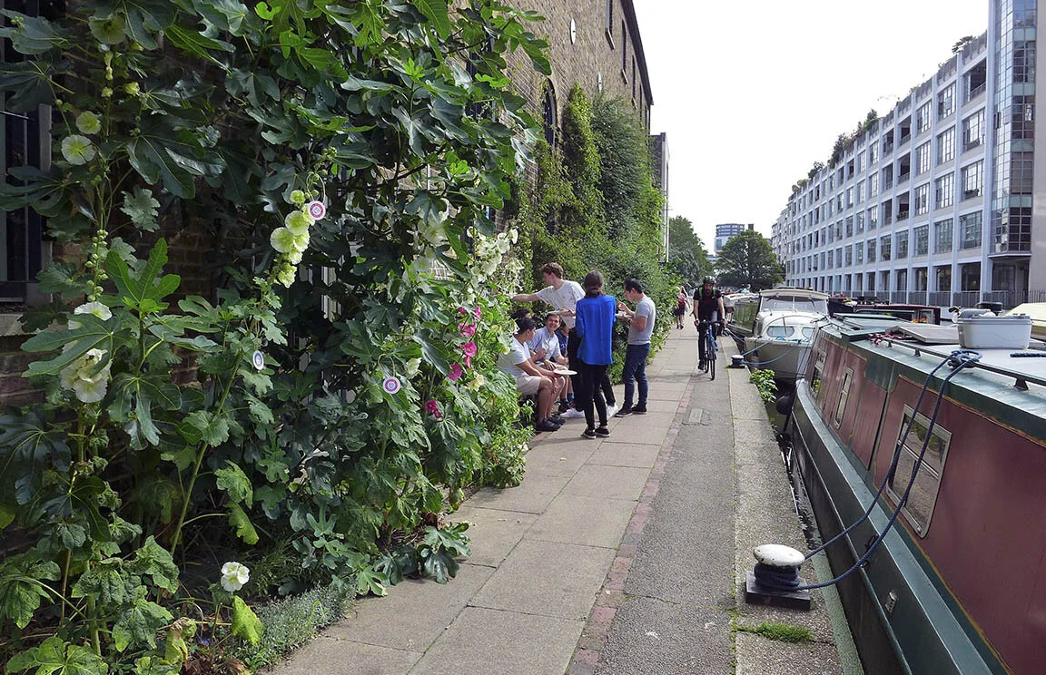 Team - Robin Nicholson — Cullinan Studio